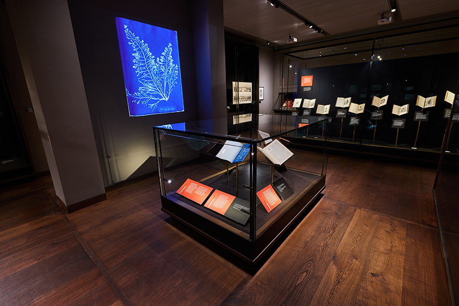 Review: ‘A New Power, Photography in Britain, 1800-1850’ | The ...